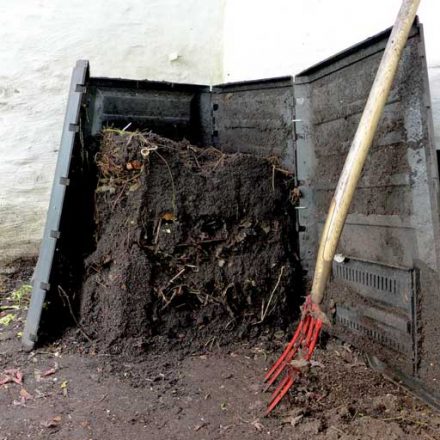 Compost, Growing Living Soil - Diary of a Brussels Kitchen Garden