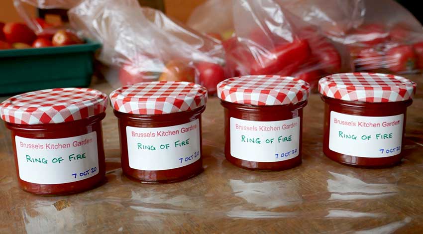 Making chilli jam - Diary of a Brussels Kitchen Garden