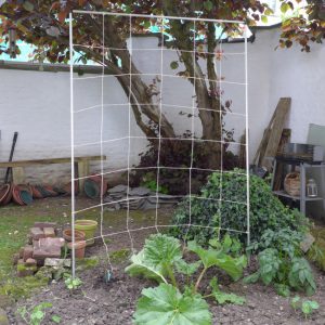 Simple Bean Frame - Diary of a Brussels Kitchen Garden