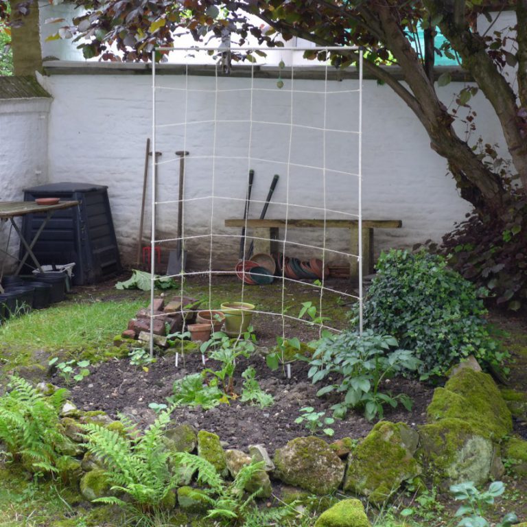 Simple Bean Frame - Diary of a Brussels Kitchen Garden